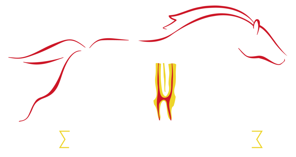 Enide 2026: 2º Encontro Internacional de Odontologia Equina